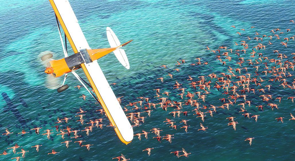 Flight Simulator 18 Ağustos’ta Xbox Game Pass Ultimate’a geliyor