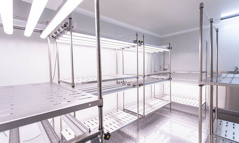 BÜ'de iklim değişikliğine dayanıklı “akıllı bitkiler” için çalışmalar ...