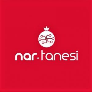 Nar Tanesi Organizasyonu’ndan uzman mentor kadrosu ile gençlere kariyer ...