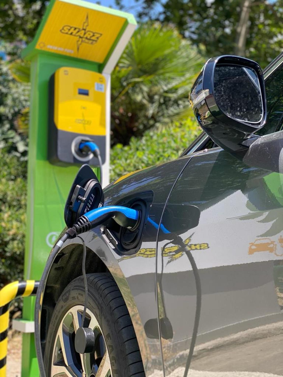 Ayşe Ece Şengönül: Teşvikler Elektrikli Araçlara İlgiyi Artıracak ...
